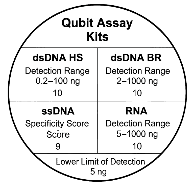 Selecting the Right Qubit Assay Kit: dsDNA, ssDNA, or RNA? A Practical ...